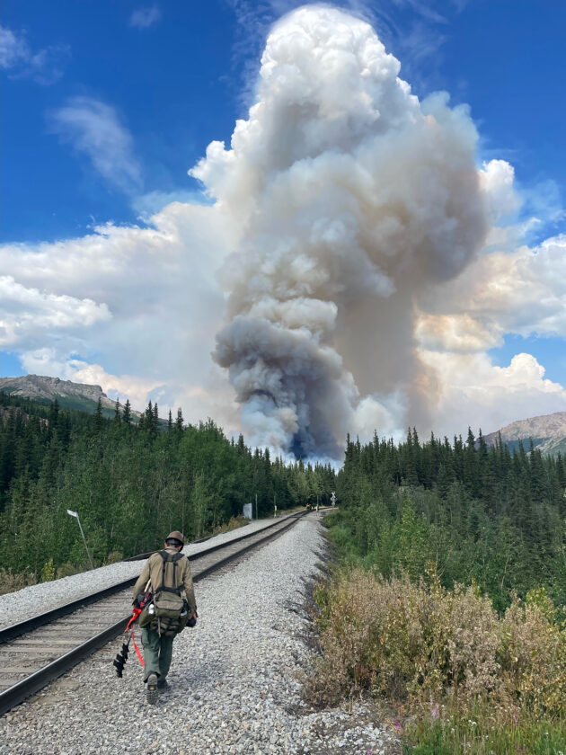 Wildfire forces Denali National Park to close entrance | News, Sports ...